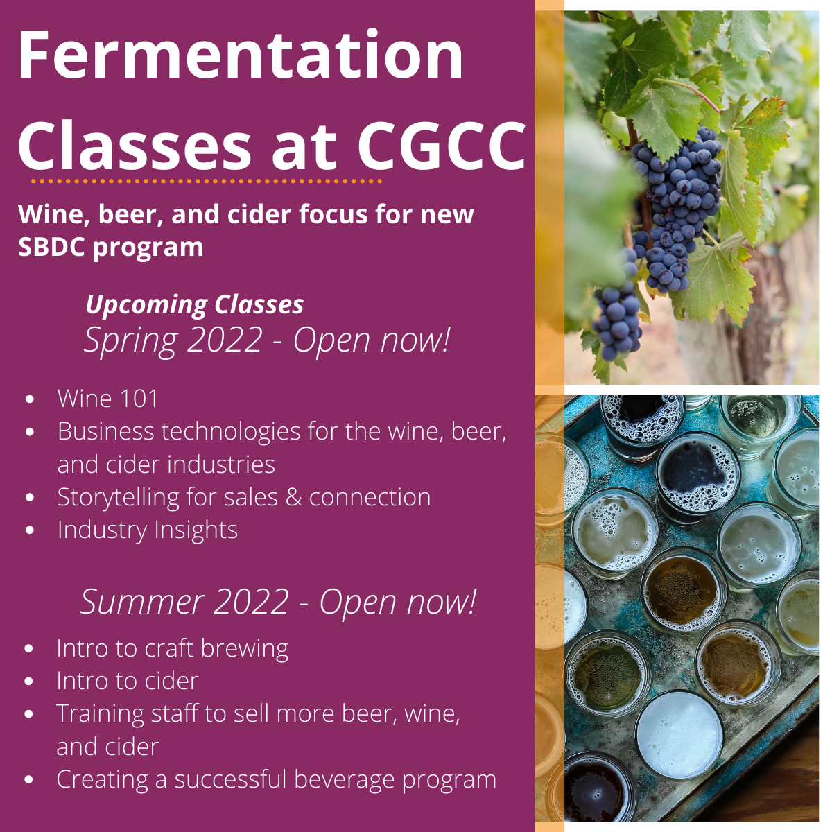 Even MORE Happening in the Gorge