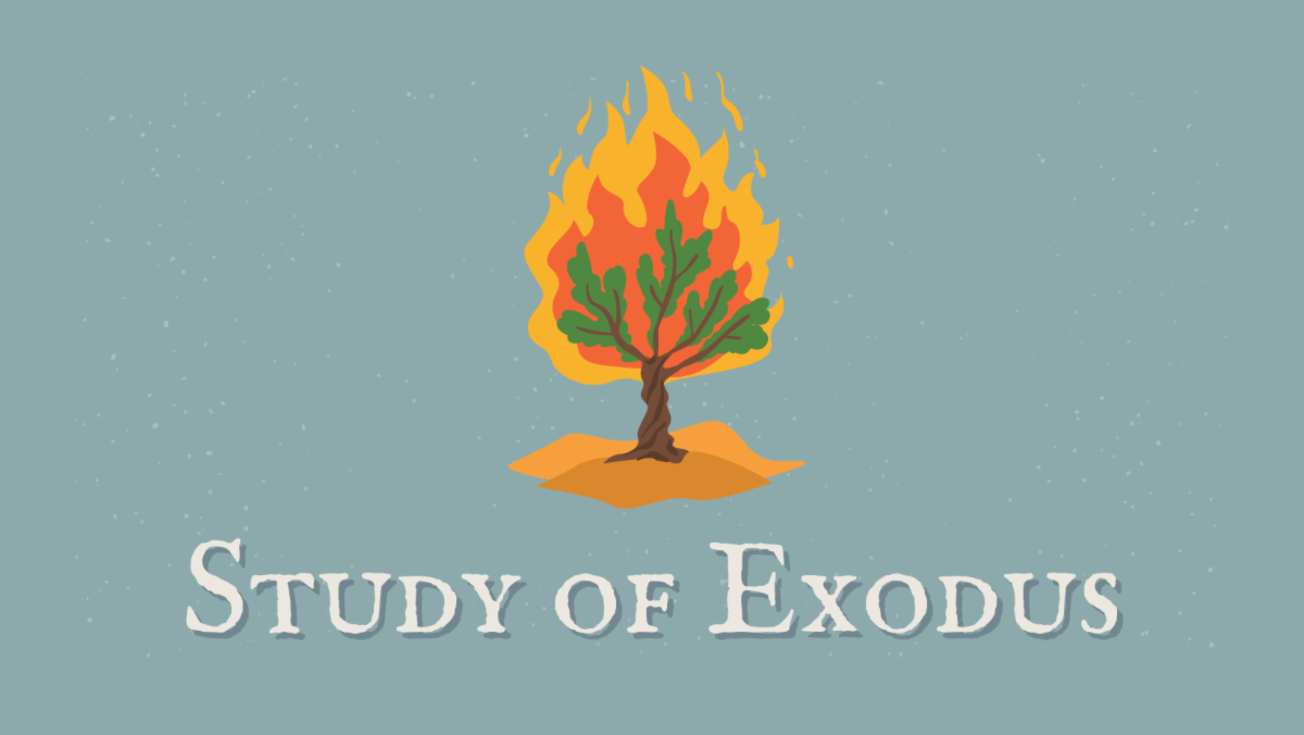 Acts of Grace - Grace Anglican Bulletin