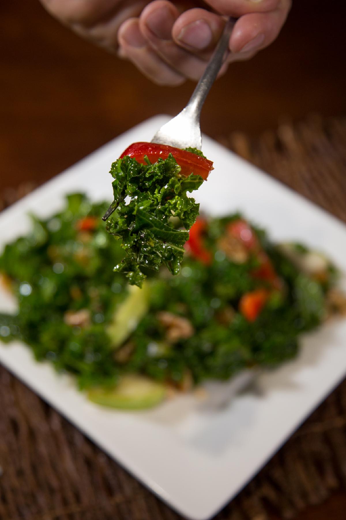 Fresh from the Sassool Kitchen