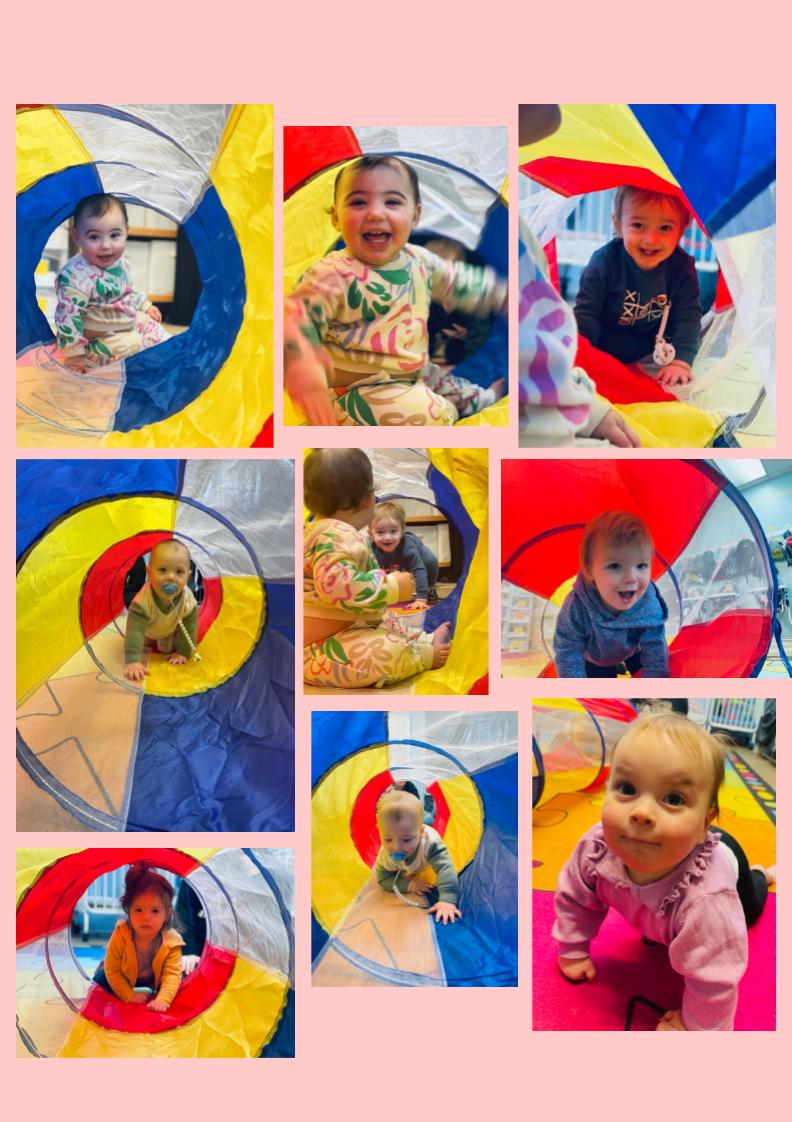 Simcha Sunflowers Parsha Mikeitz