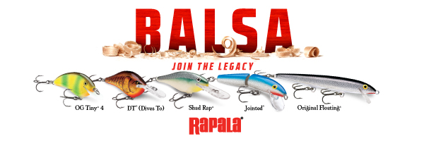 New Hackney spin rods, Ping a dang shrimp 🦐 Southern rock bait