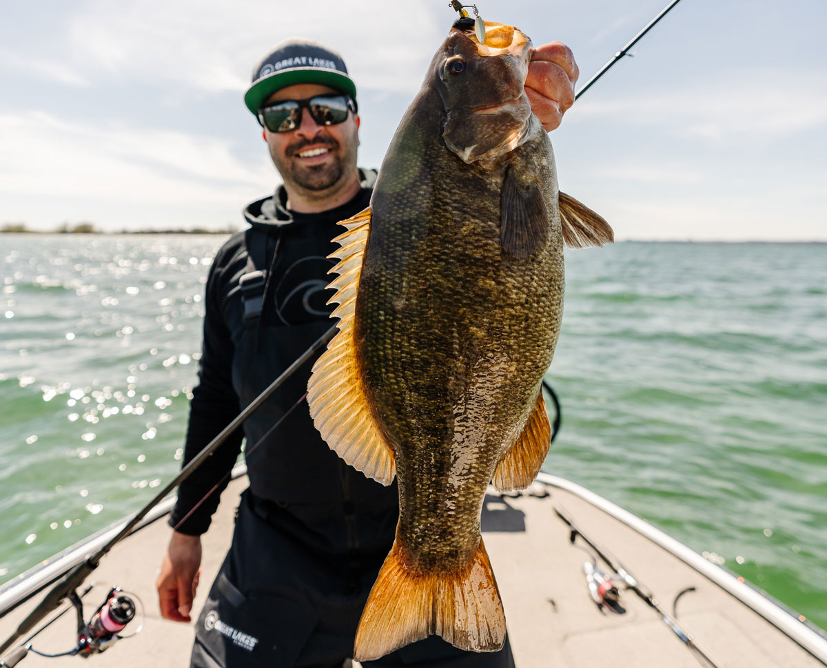Brown fish special issue, More new baits, DMD update 🤠