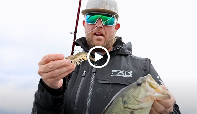 New Hackney spin rods, Ping a dang shrimp 🦐 Southern rock bait