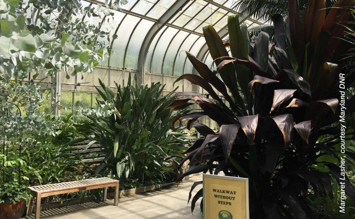 Book Your Paddle, Greenhouse Tour, Kid-Friendly Hikes