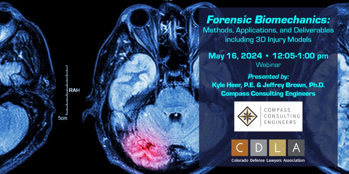 Forensic Biomechanics: Methods, Applications, and Deliverables ...