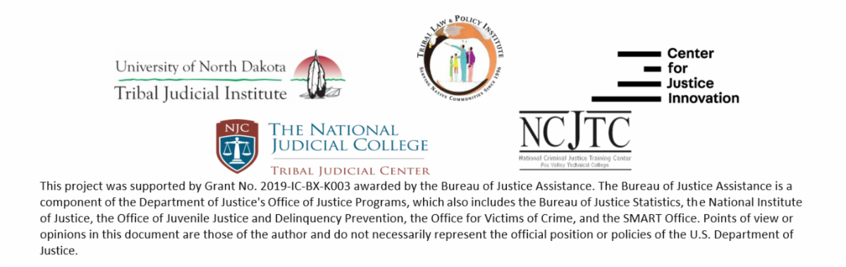 February 2025 Webinar Materials | Innovating Access to Justice in ...