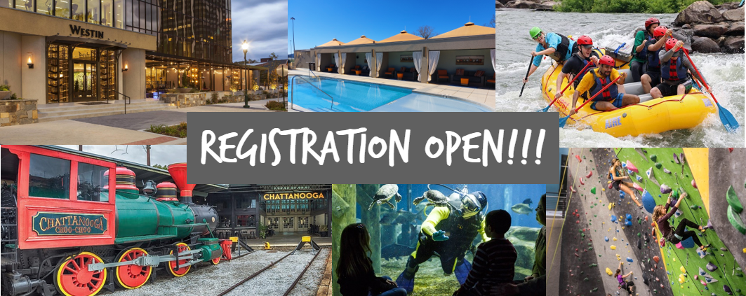 BMSA Summer Conference 2023