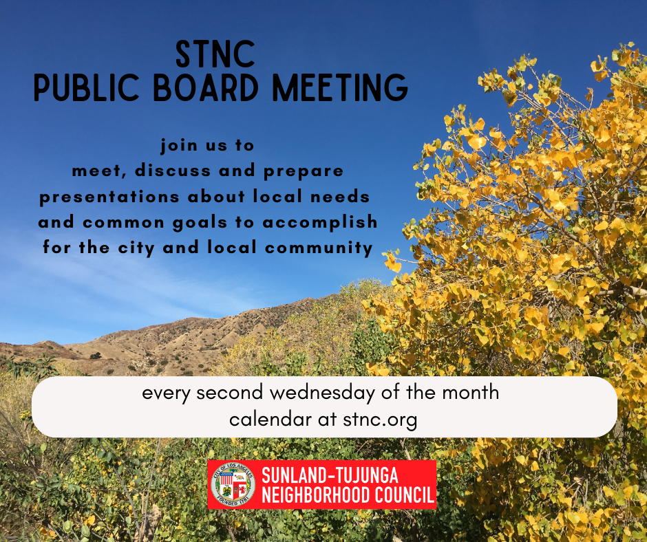 STNC NEWS for November 2023