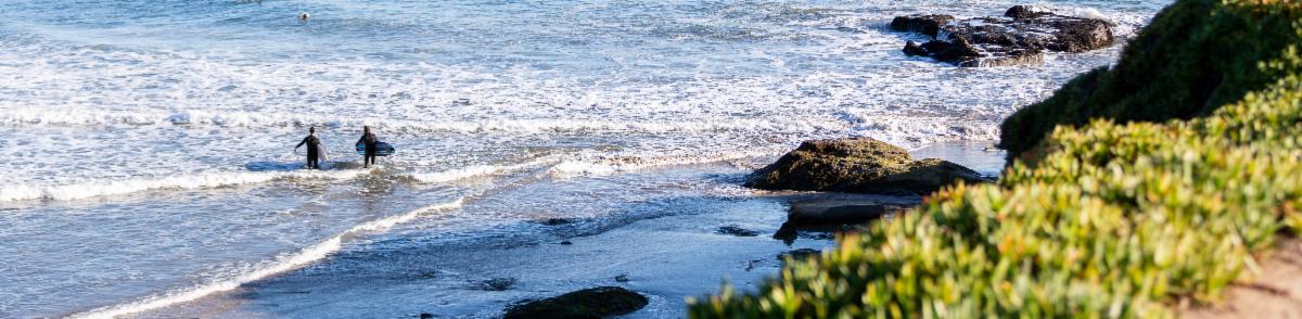 UCSB Procurement Newsletter - January 2021