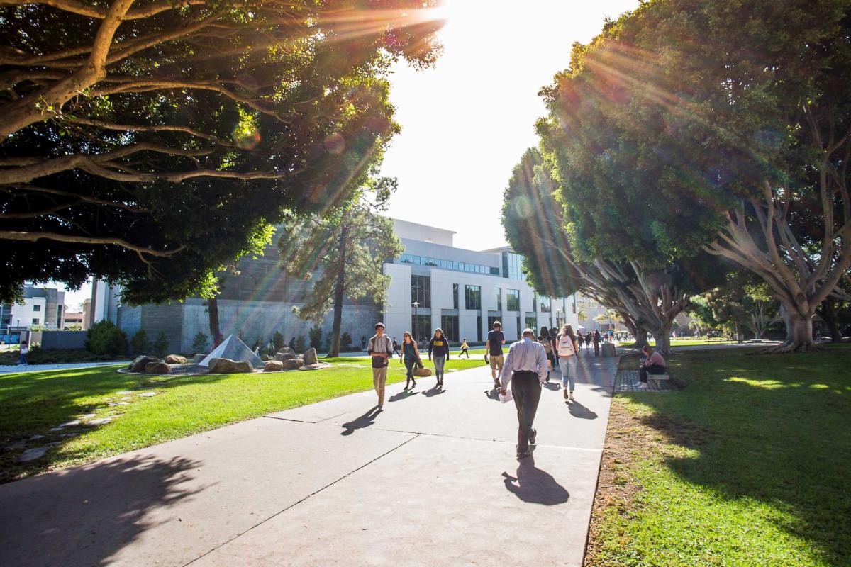 UCSB Procurement Newsletter - January 2024