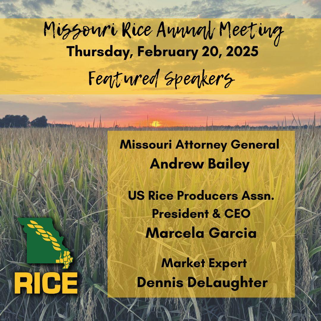 D.C. Visit, Market Update & More