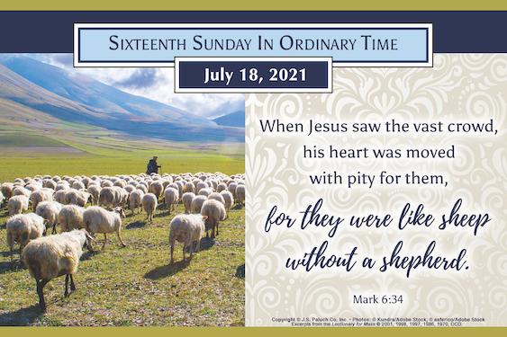 The 16th Sunday in Ordinary Time