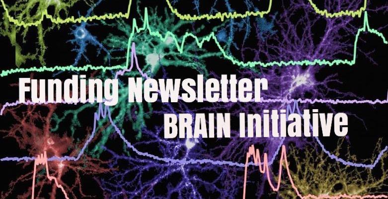 BRAIN Initiative Funding Newsletter: NIH Reissues Three RFAs