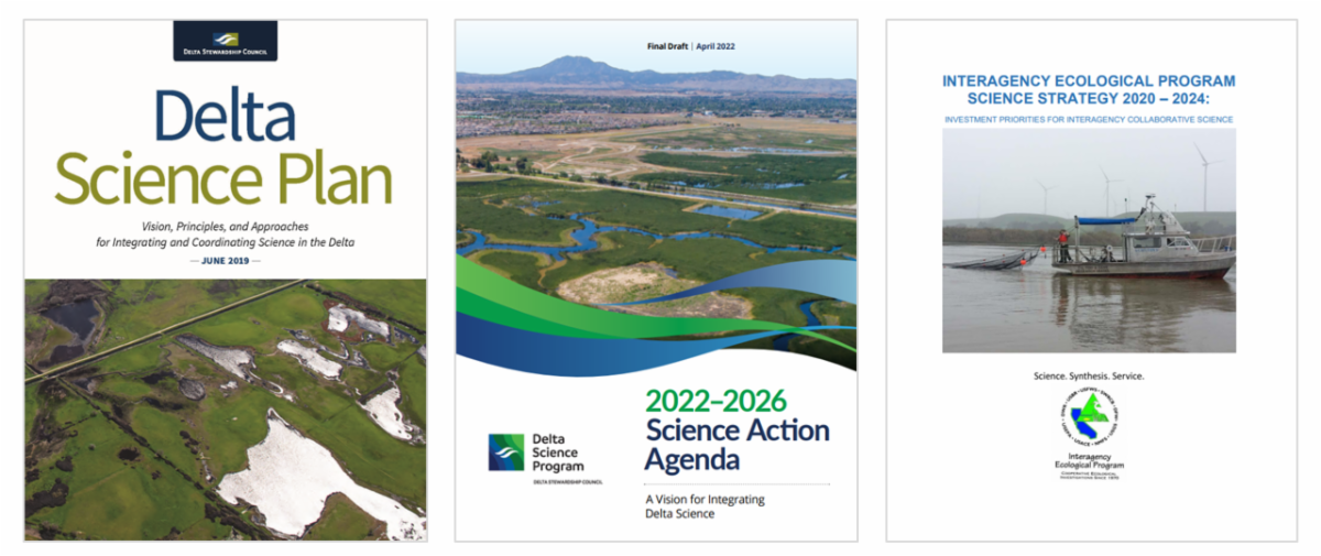 Call for 2025 Delta Synthesis Working Group Ideas and Participants