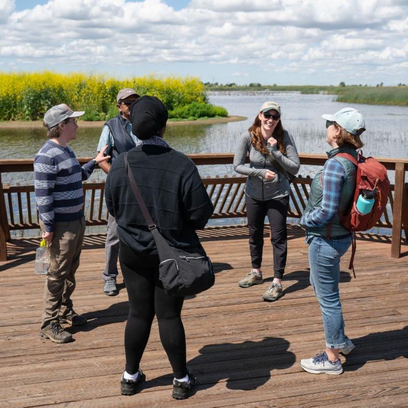 Notice of July 19-20 Independent Scientific Peer Review Panel Meeting