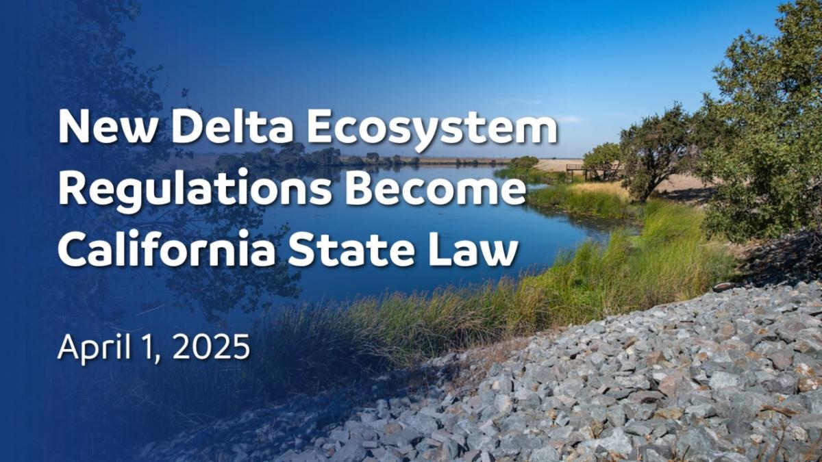 New Ecosystem-Related Regulations for Prioritizing Restoration in ...