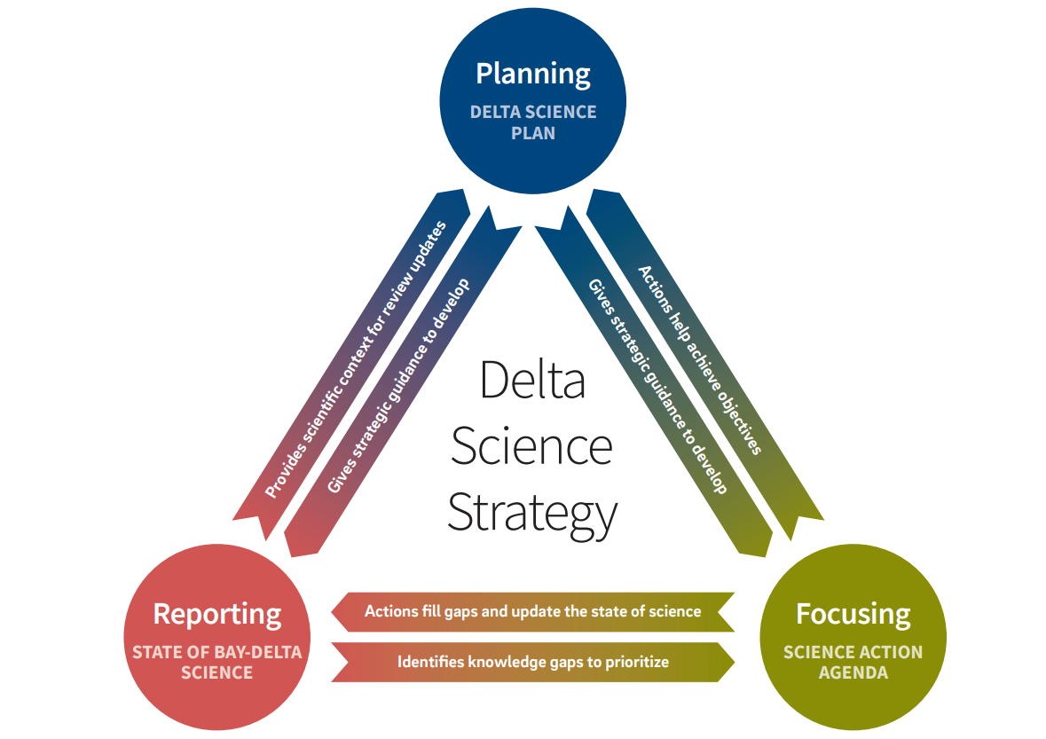 Now Available: The 2025 State of Bay-Delta Science – Part 2