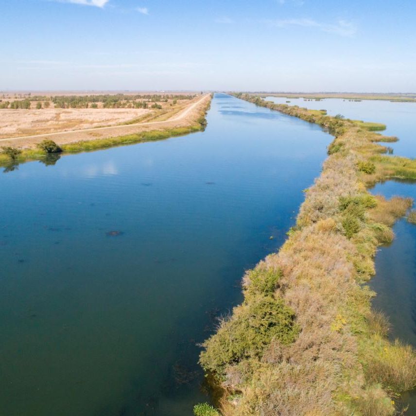 Council Adopts Updated Administrative Procedures Governing Appeals