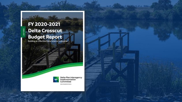 Available Now: FY 2020-2021 Delta Crosscut Budget Report