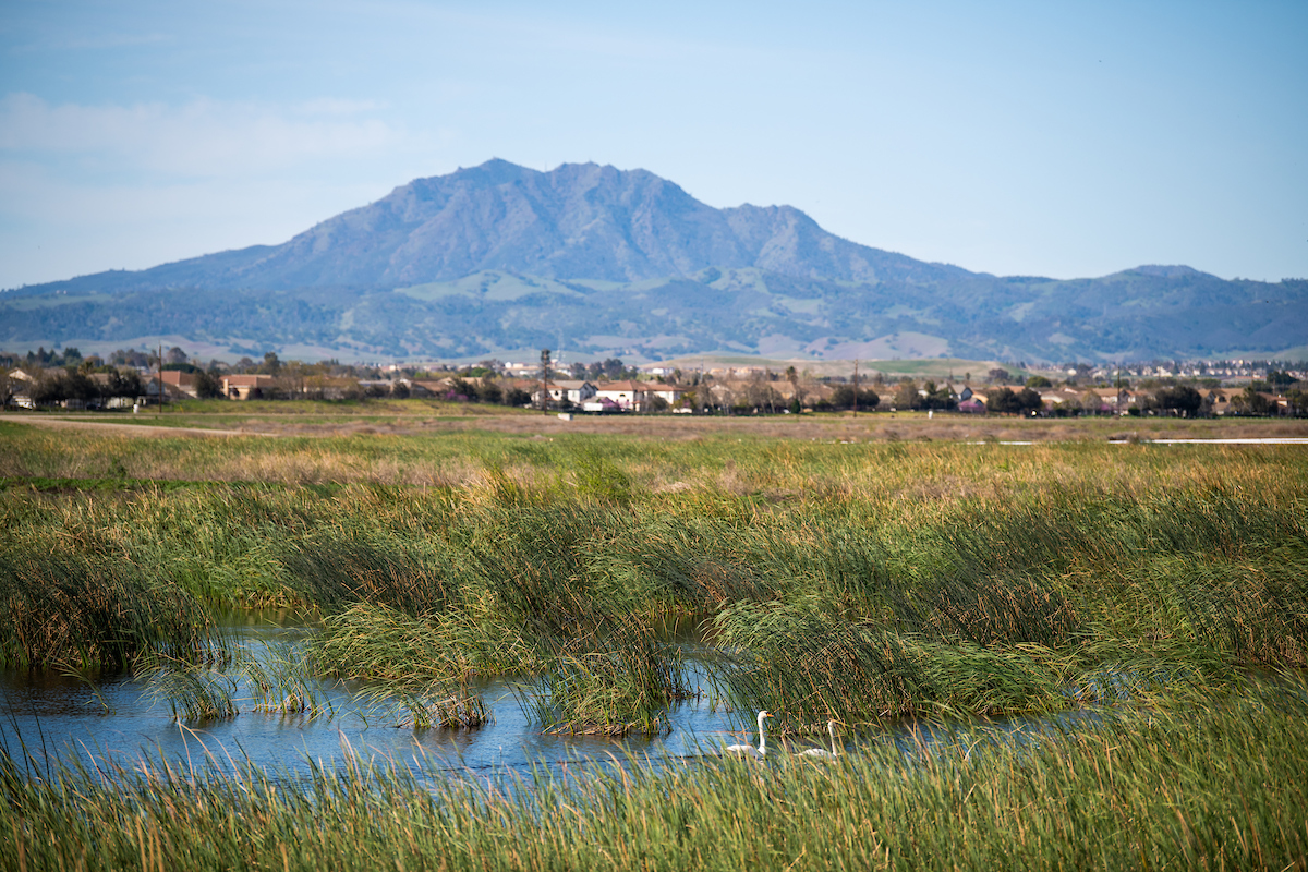 State Water Board Selects Jay Ziegler as the new Delta Watermaster