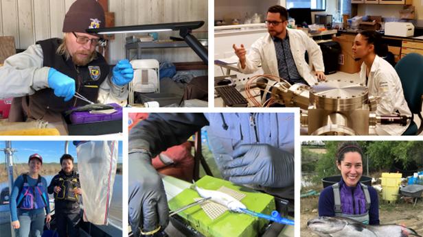 Council Awards Nearly $6 Million for New Delta Research