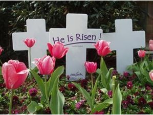 Ascension Happenings March 14, 2024