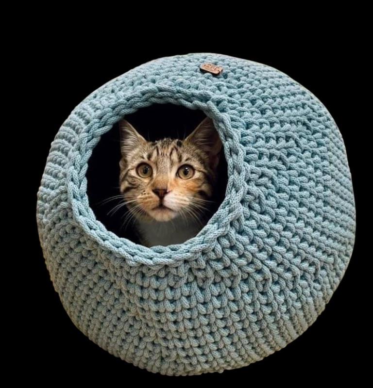 Glass Wall Hanging and Cat Cave