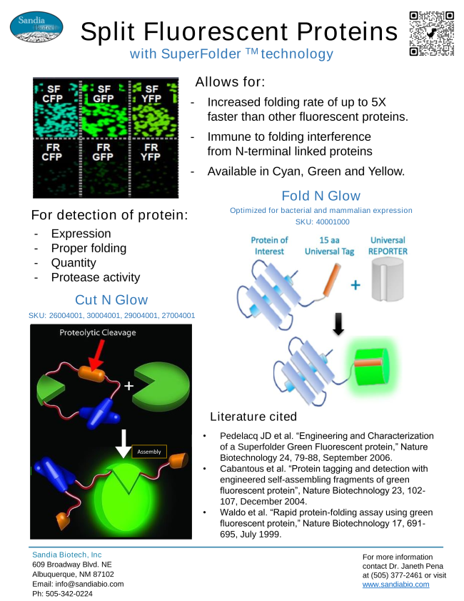 Split Fluorescent Proteins for your research needs