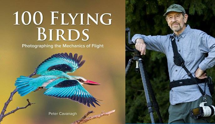 November already? Let the holiday season begin!