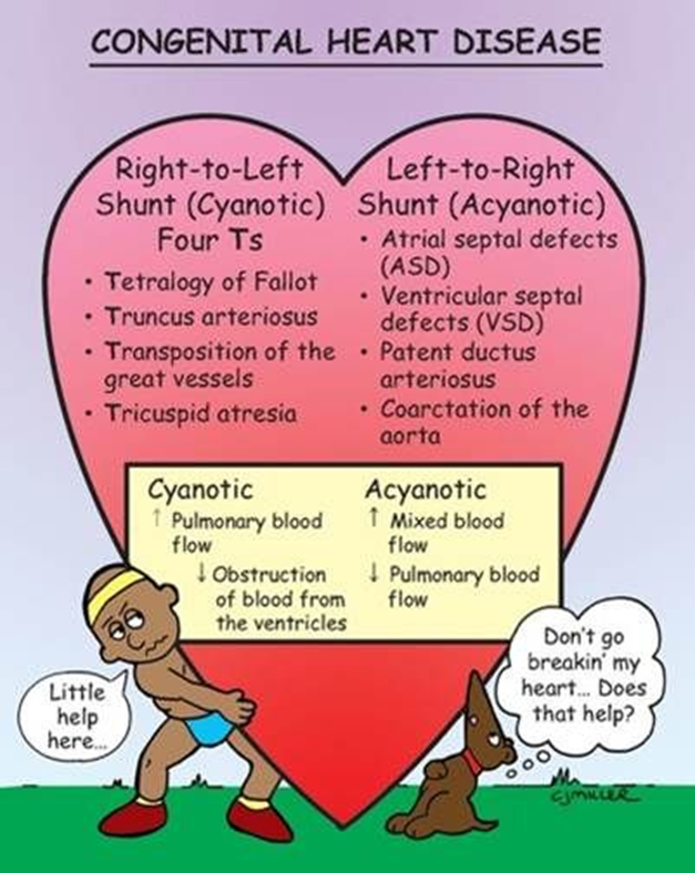 The PEARL No. 38: Preparing for Pediatric Cardiac Emergencies II ...
