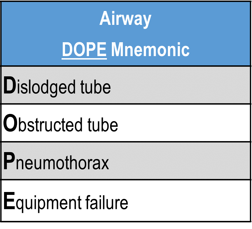 The PEARL: Nov. 14, 2019 | No. 31 Answers to Quiz