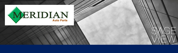 Meridian Financial Wellness Newsletter