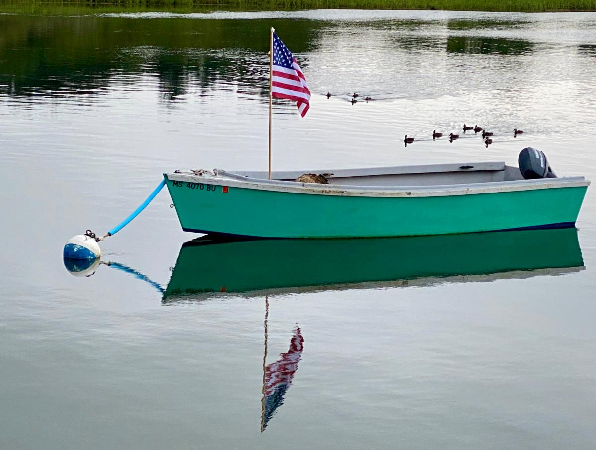 Cape Cod Chronicle Weekend Update