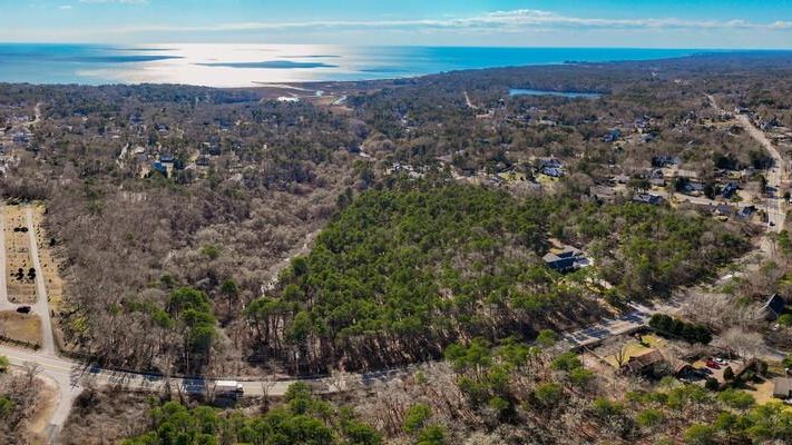 Cape Cod Chronicle Weekend Update