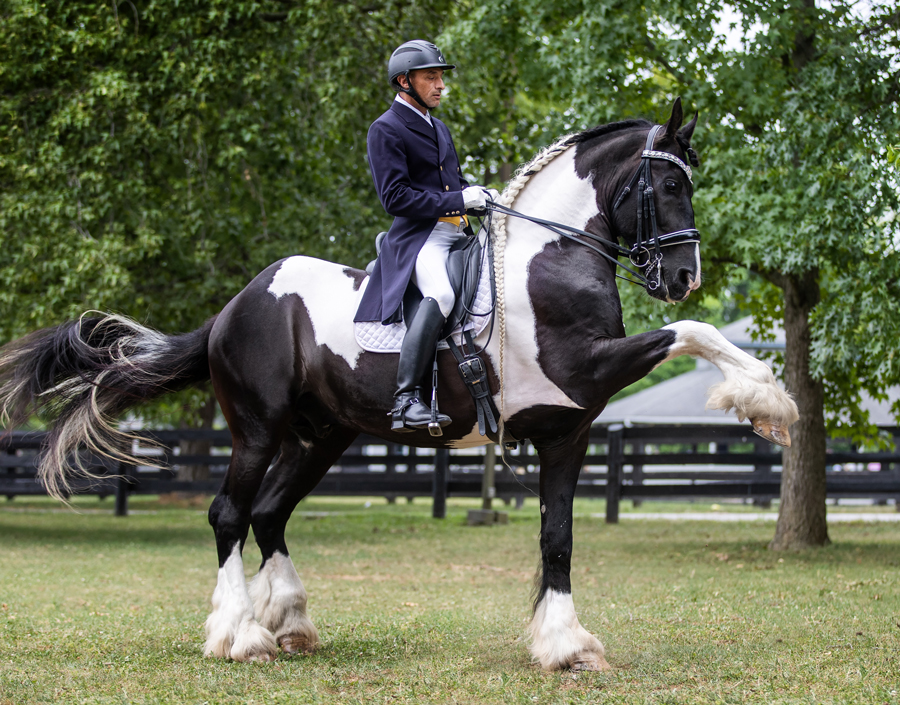 WIHS Brings Thrilling Five-Star Jumping, Entertainment and Family Fun ...