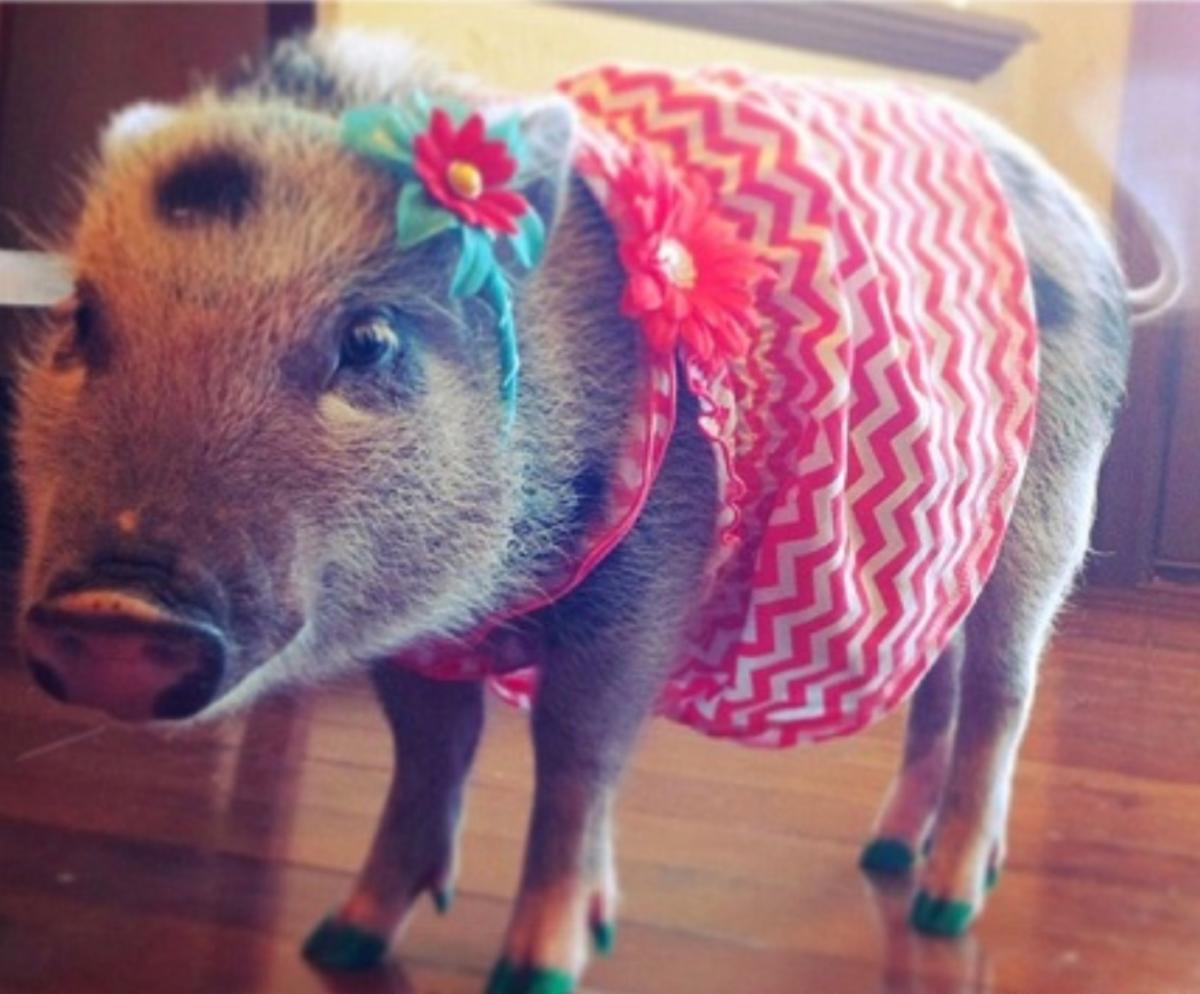 Lake Erie wins big, Blue walleyes extinct, Euro larva trick 👀