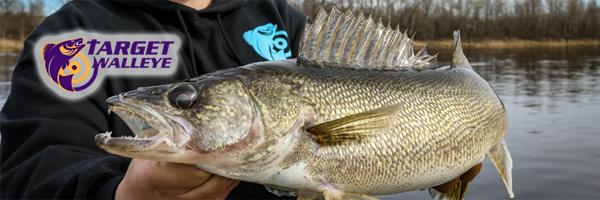 Fish stay shallow, 14-lber caught, Wart-nosed walleye – Target Walleye
