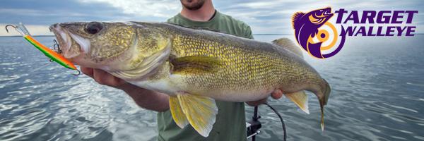 19-lb walleye caught, Walleye pheasant hybrid, Rock moose of the week ...