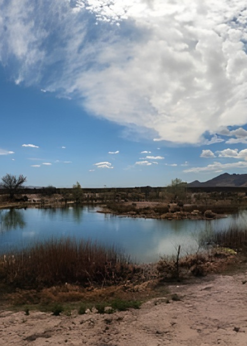 The Wire: Start Your Year Informed for Better Decision-Making