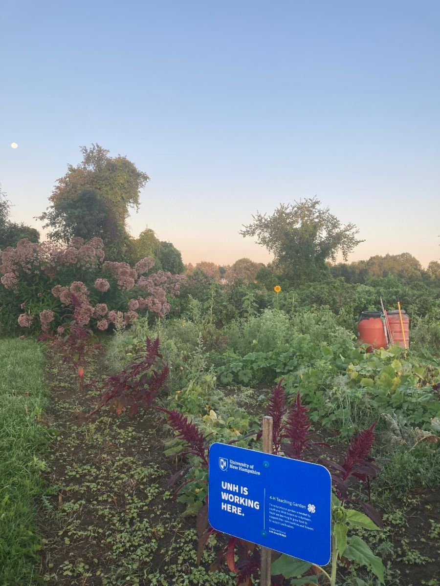 Coming Up: see what's going on at NH Agriculture in the Classroom