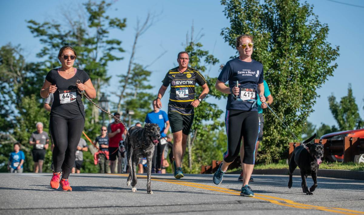 📢 Important Information for Save a Stray 5K Runners!