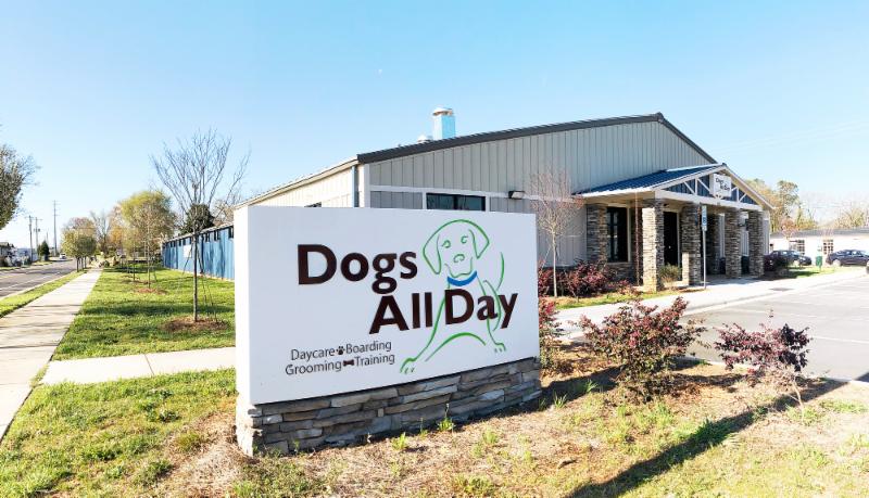 July 2021 - Dogs All Day Newsletter