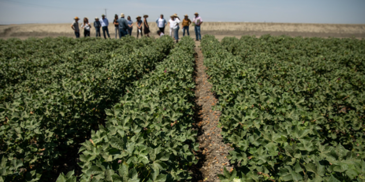 Carbon Farming: 2022 Year in Review with Carbon Cycle Institute