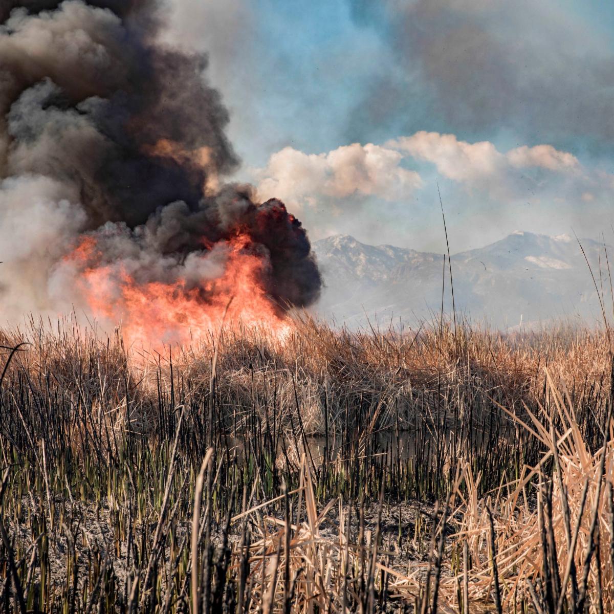 ALLO Fiber to develop network in Sierra Vista