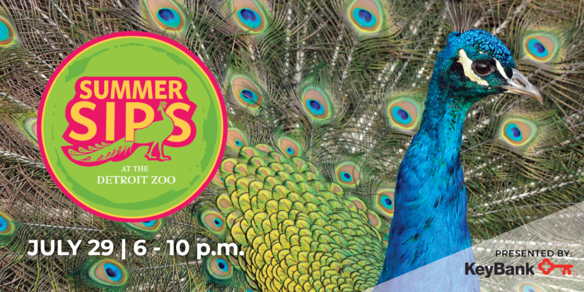 Get your tickets for Summer Sips🍹