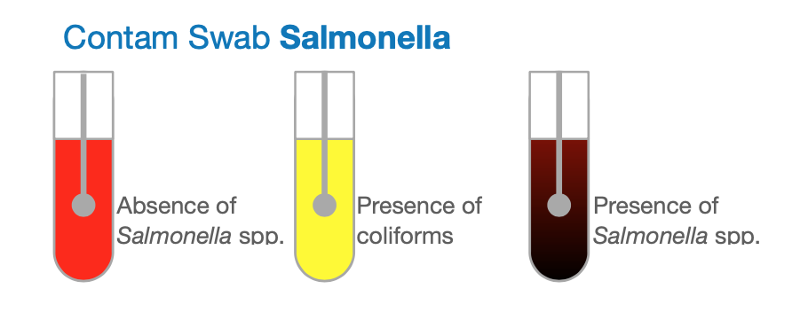 Contam Swab Salmonella, CultiControl