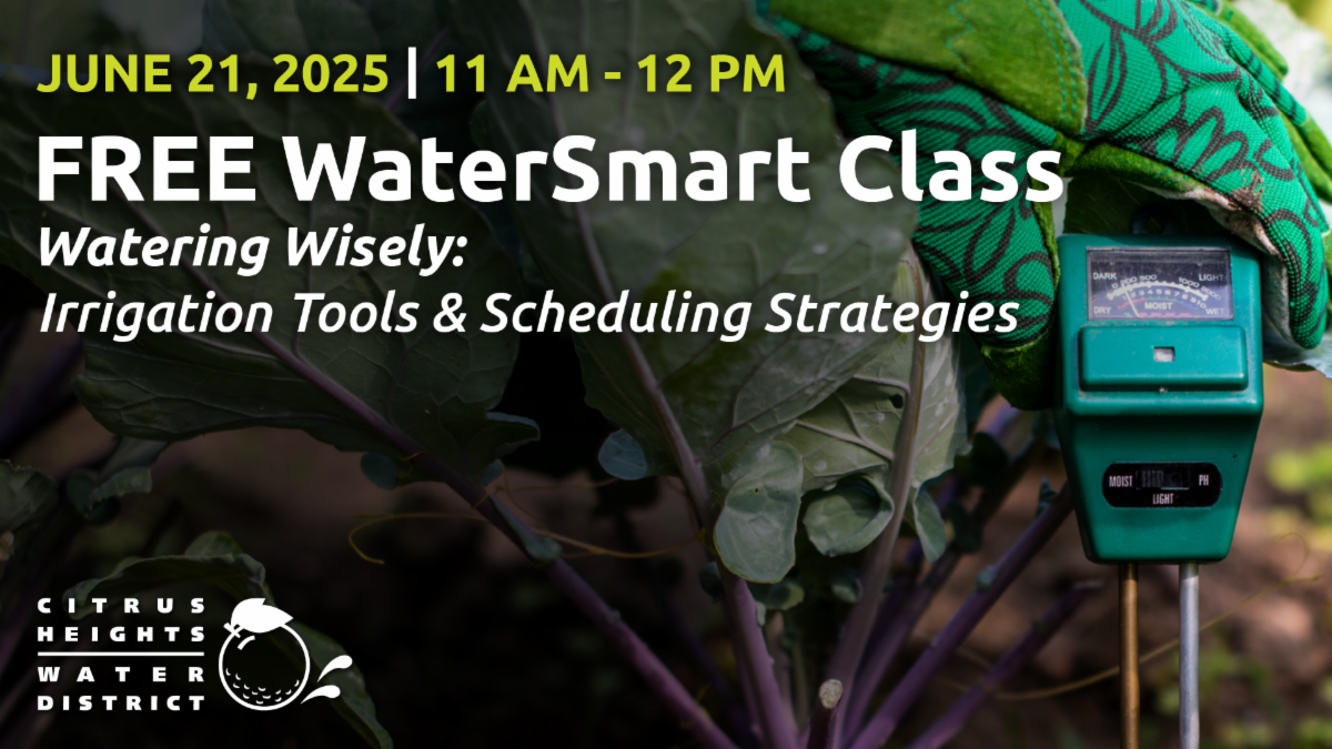 FREE WaterSmart Class: Watering Wisely: Irrigation Tools & Scheduling ...
