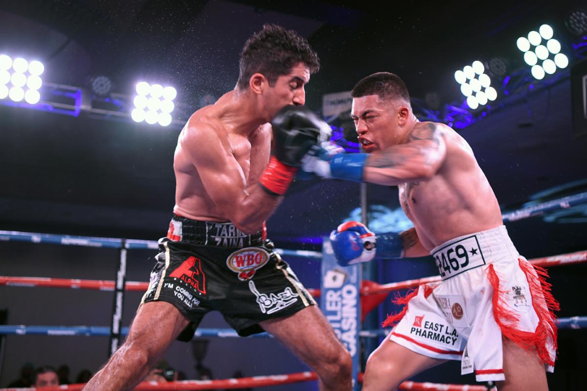 Jesus Saracho and Tarik Zaina Fight to Majority Draw on Thompson Boxing ...