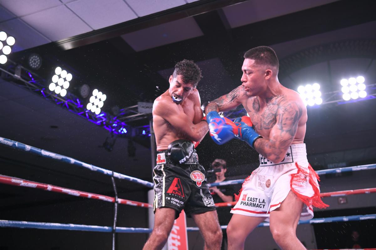 Jesus Saracho and Tarik Zaina Fight to Majority Draw on Thompson Boxing ...