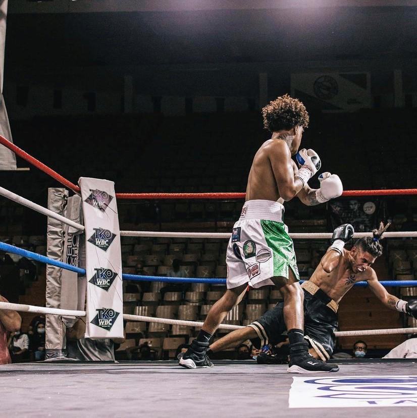 Vargas Brothers, Fernando Jr. and Amado Score Knockouts in Mexico ...